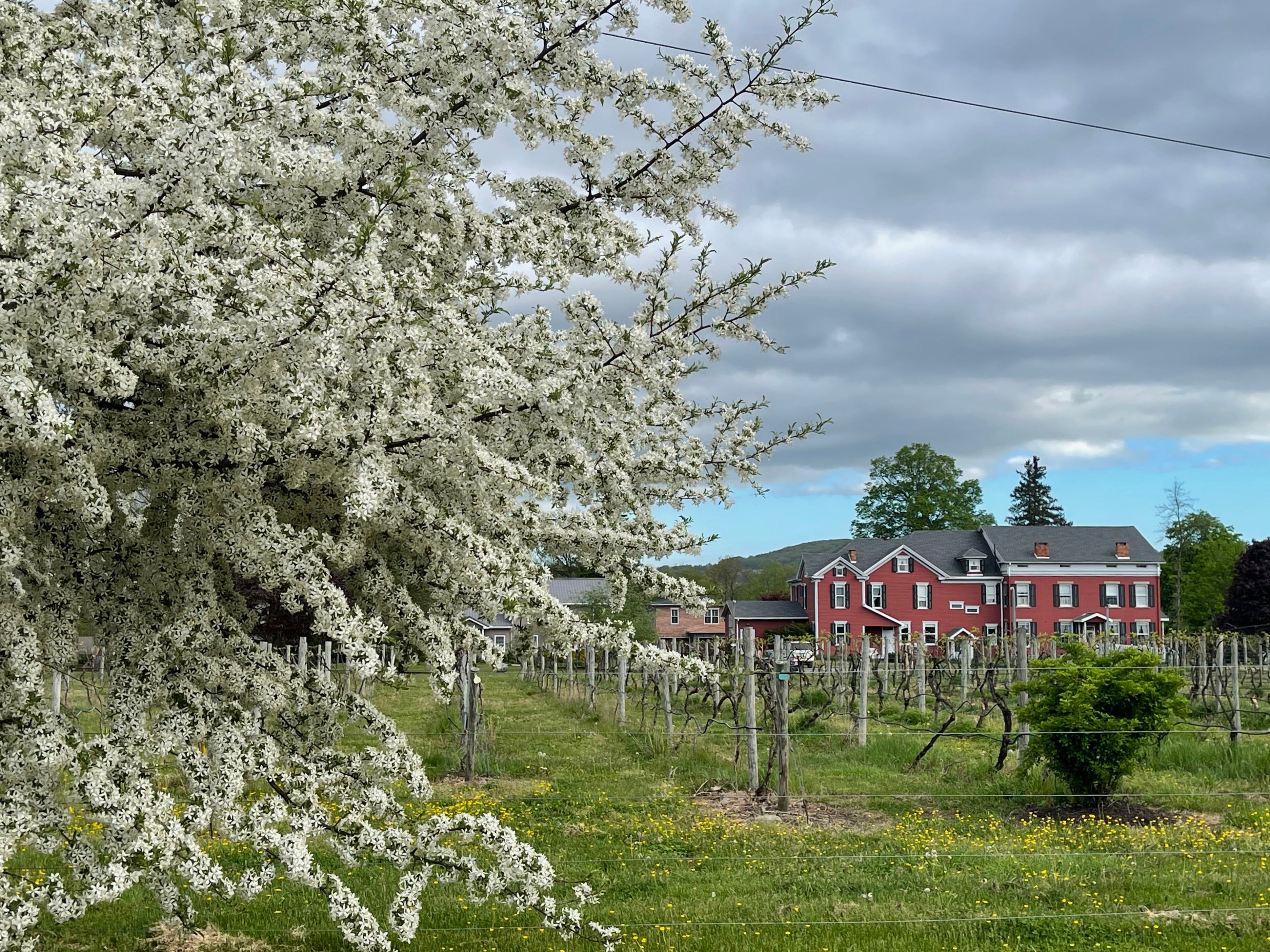 5 Ways To Enjoy Wine In The Spring – Grovedale Winery