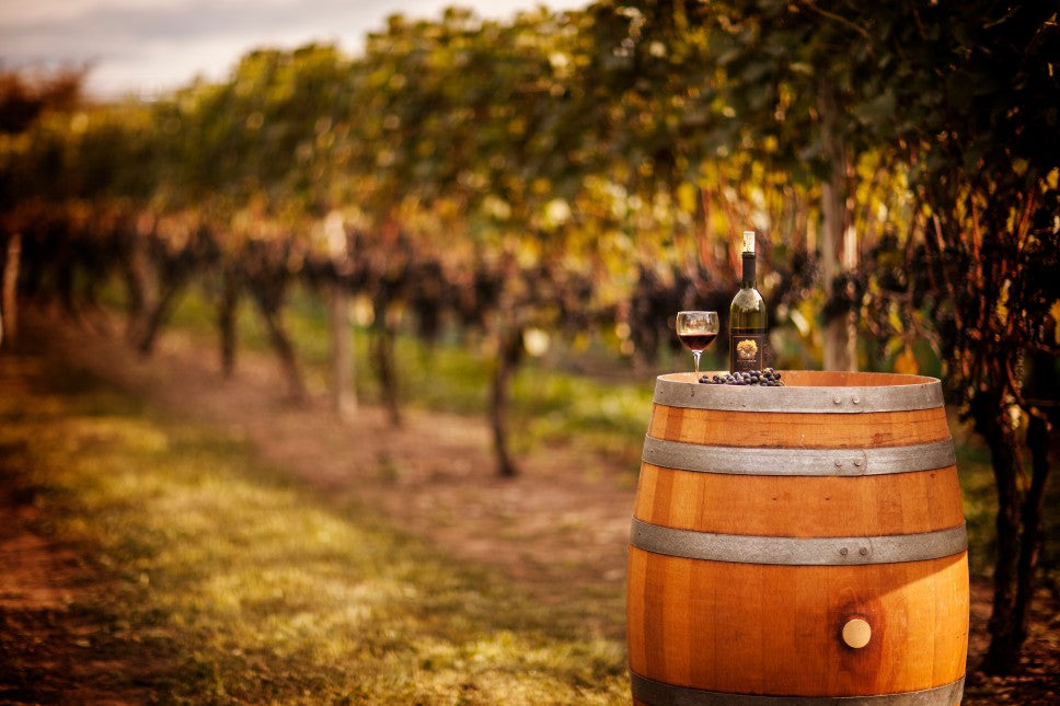 All Products – Grovedale Winery